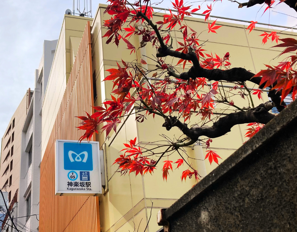 Area Guide: Kagurazaka | BELONGING JAPAN