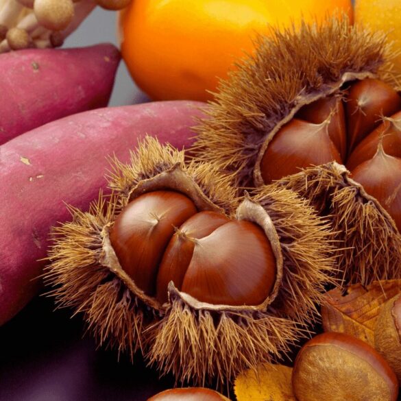 Chestnuts In Japan: Guide To Autumn Traditions | BELONGING JAPAN