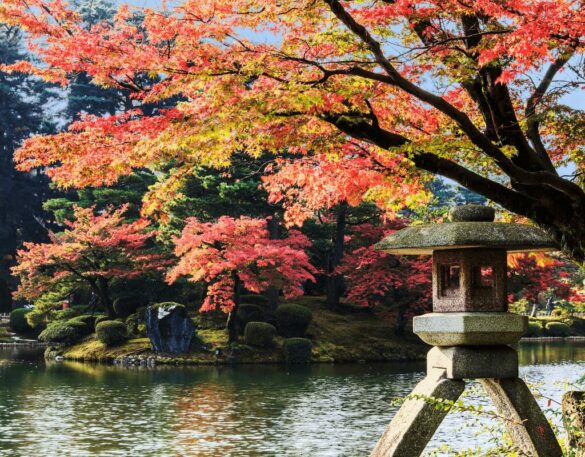 What Is Bunka No Hi? A Day For Culture In Japan | BELONGING JAPAN