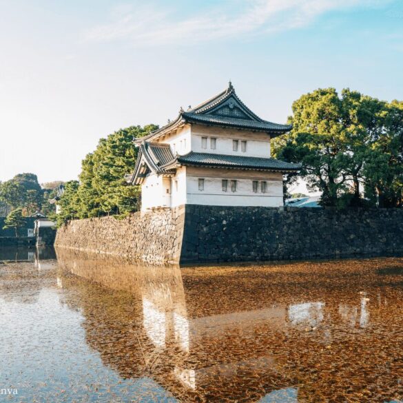 Undokai: What is it? | BELONGING JAPAN