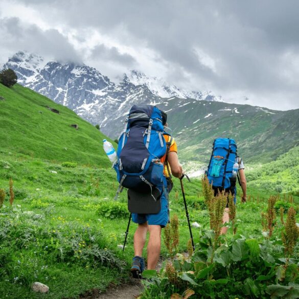 Juminhyo: Guide to Registration and Obtaining a Copy | BELONGING JAPAN