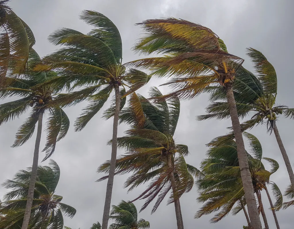 What Is A Typhoon In Japan? | BELONGING JAPAN