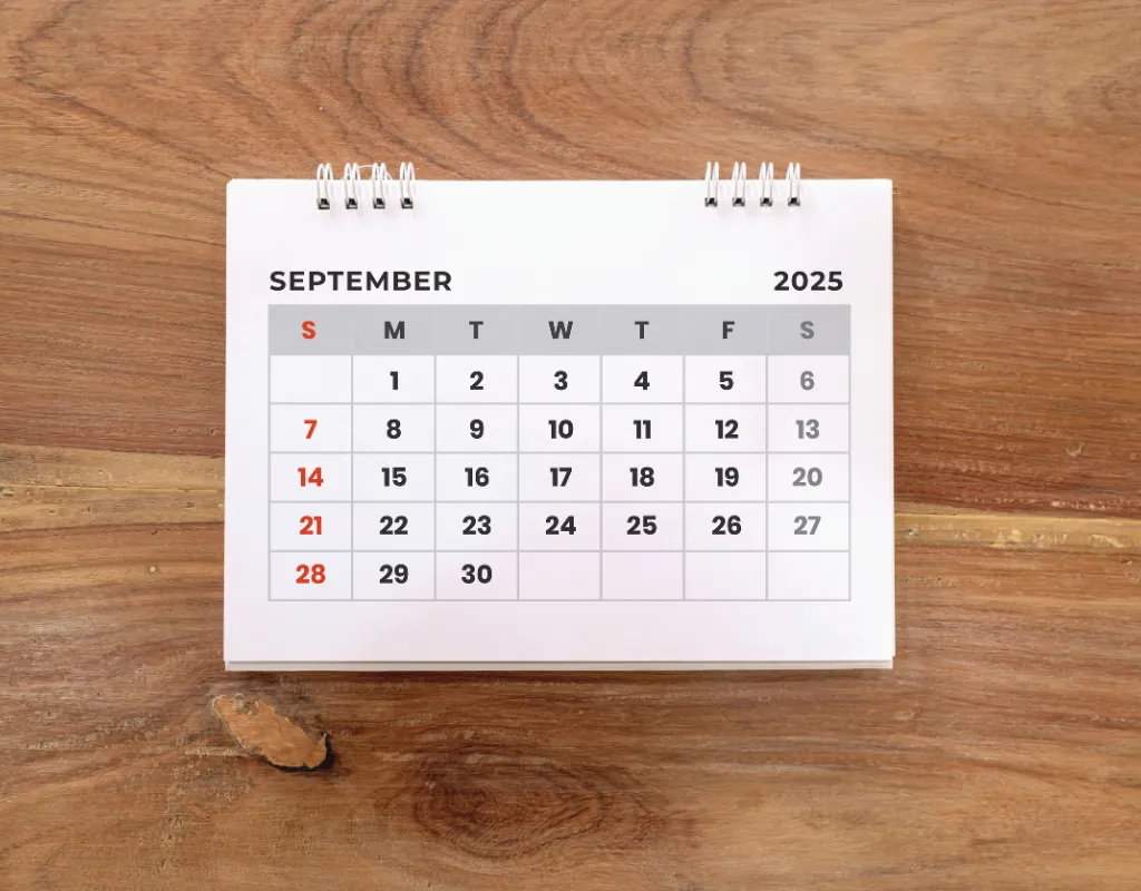 Hometown Tax 2025: Portal Site Point Changes | BELONGING JAPAN