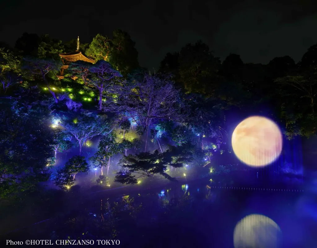 How To Enjoy Otsukimi In Modern Japan | BELONGING JAPAN