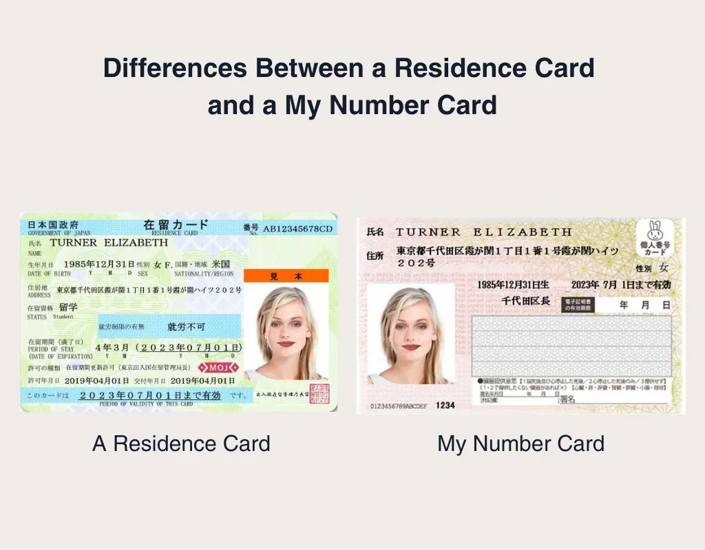 My Number Card Japan: Complete Guide For Foreign Residents | BELONGING ...