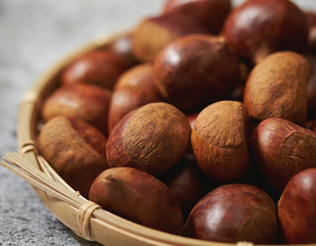 Chestnuts In Japan: Guide To Autumn Traditions | BELONGING JAPAN