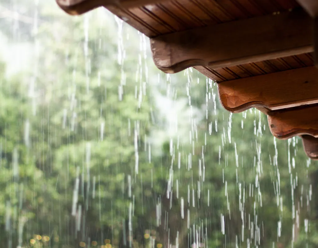 Japan Rainy Season 2026: Forecast, Dates & Survival Tips For Foreign ...