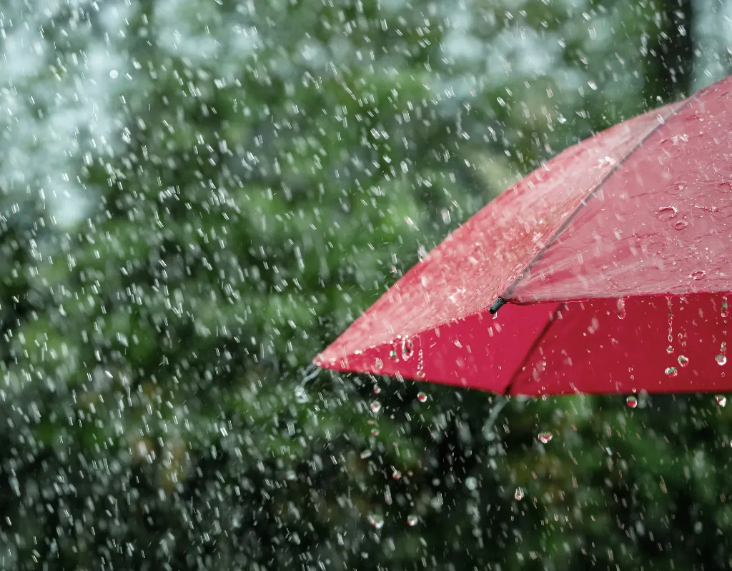 Japan Rainy Season 2026: Forecast, Dates & Survival Tips For Foreign ...